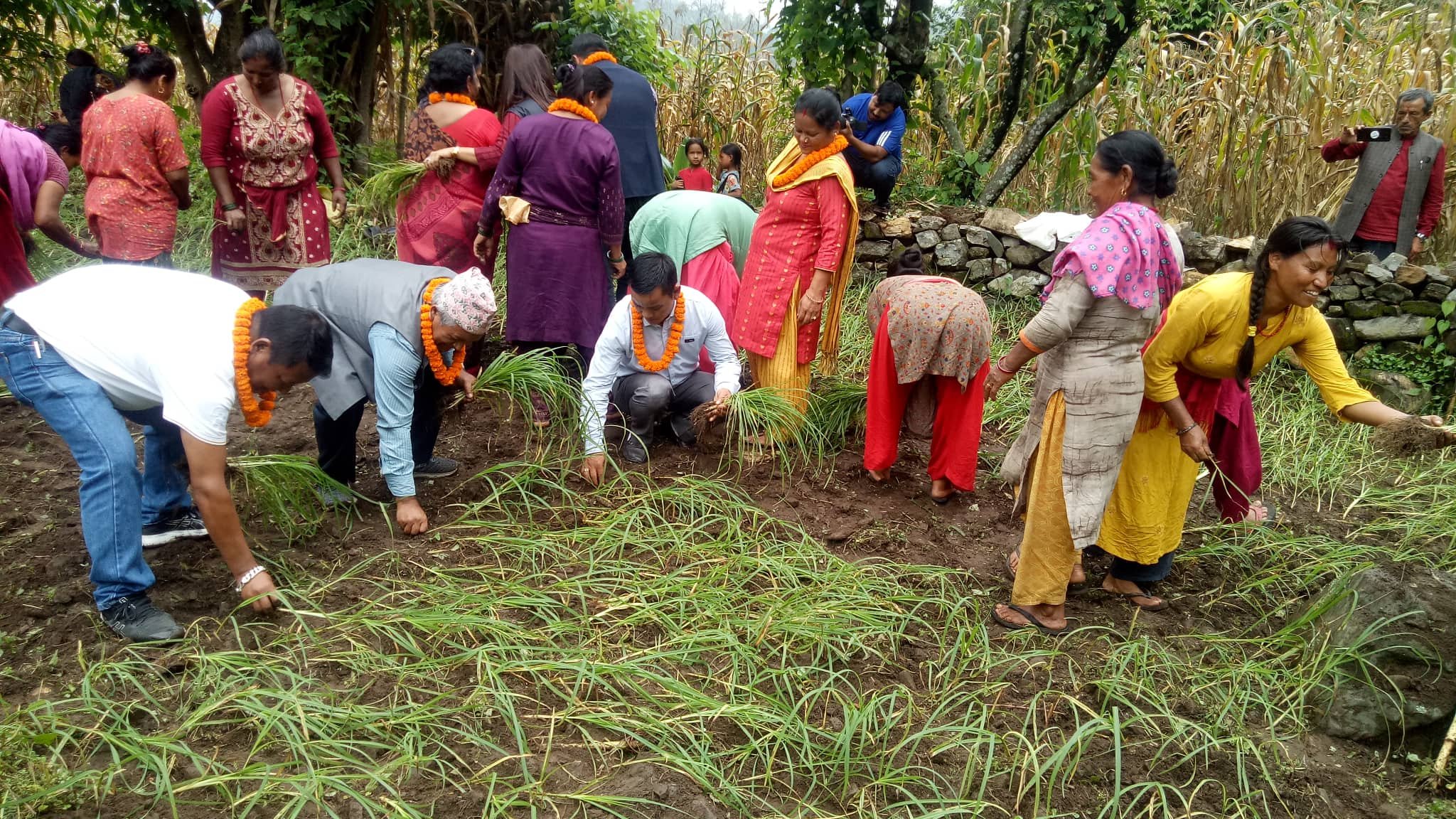 National Farmers Group Federation